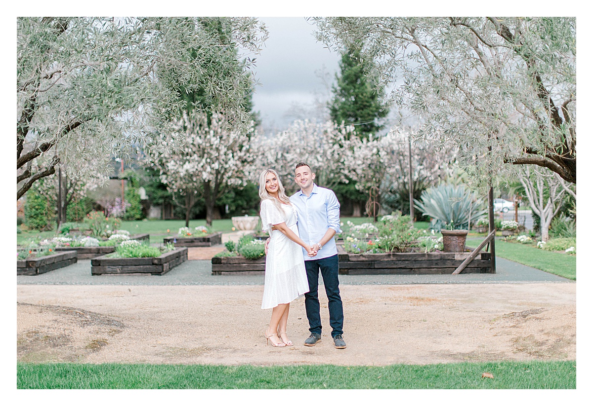 Napa Valley Engagement at Tre Posti Vineyards - Raleigh Wedding ...